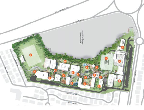 Projects – Acceler Project Management